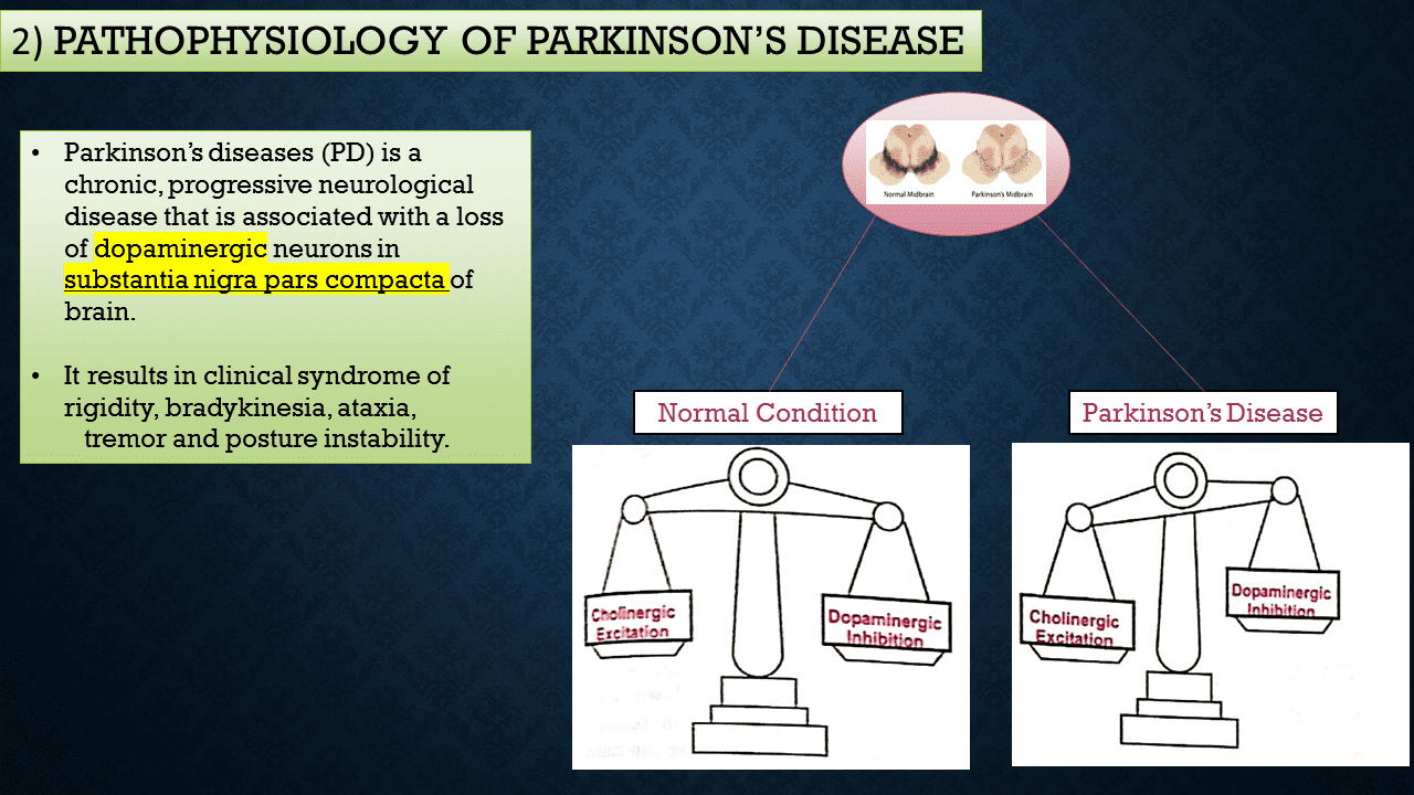 Neurology Pathophysiology Pictorial Presentation - NeuroHealth